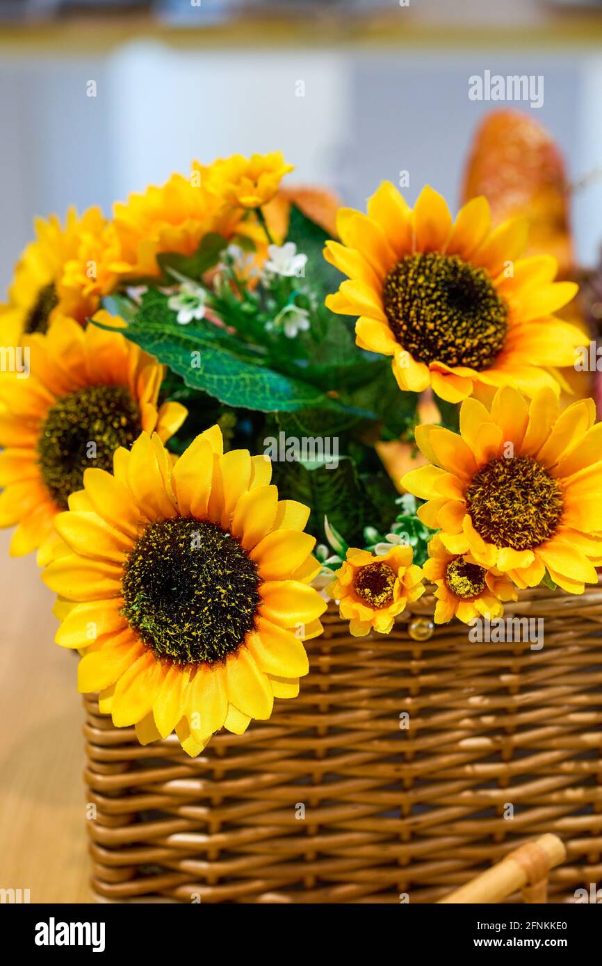 Simulation sunflowers hi-res stock photography and images - Alamy