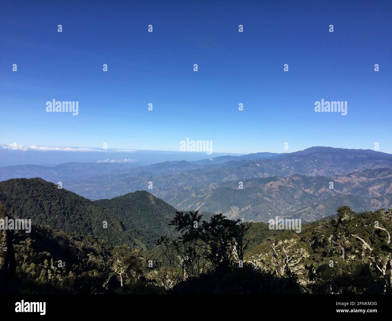 Chirripó National Park Costa Rica Stock Photo - Alamy