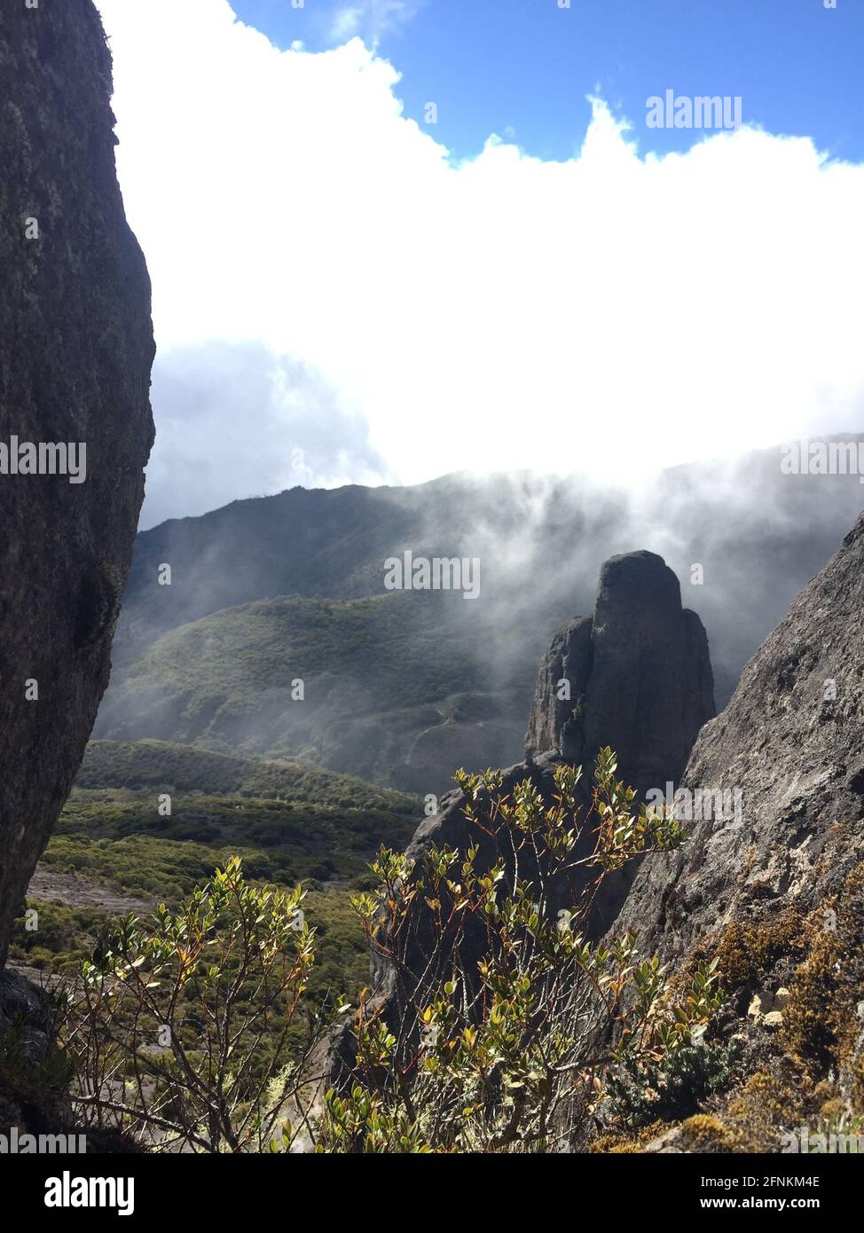 Chirripo national park hi-res stock photography and images - Alamy