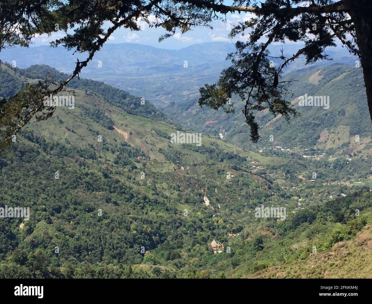 Chirripó National Park Costa Rica Stock Photo - Alamy