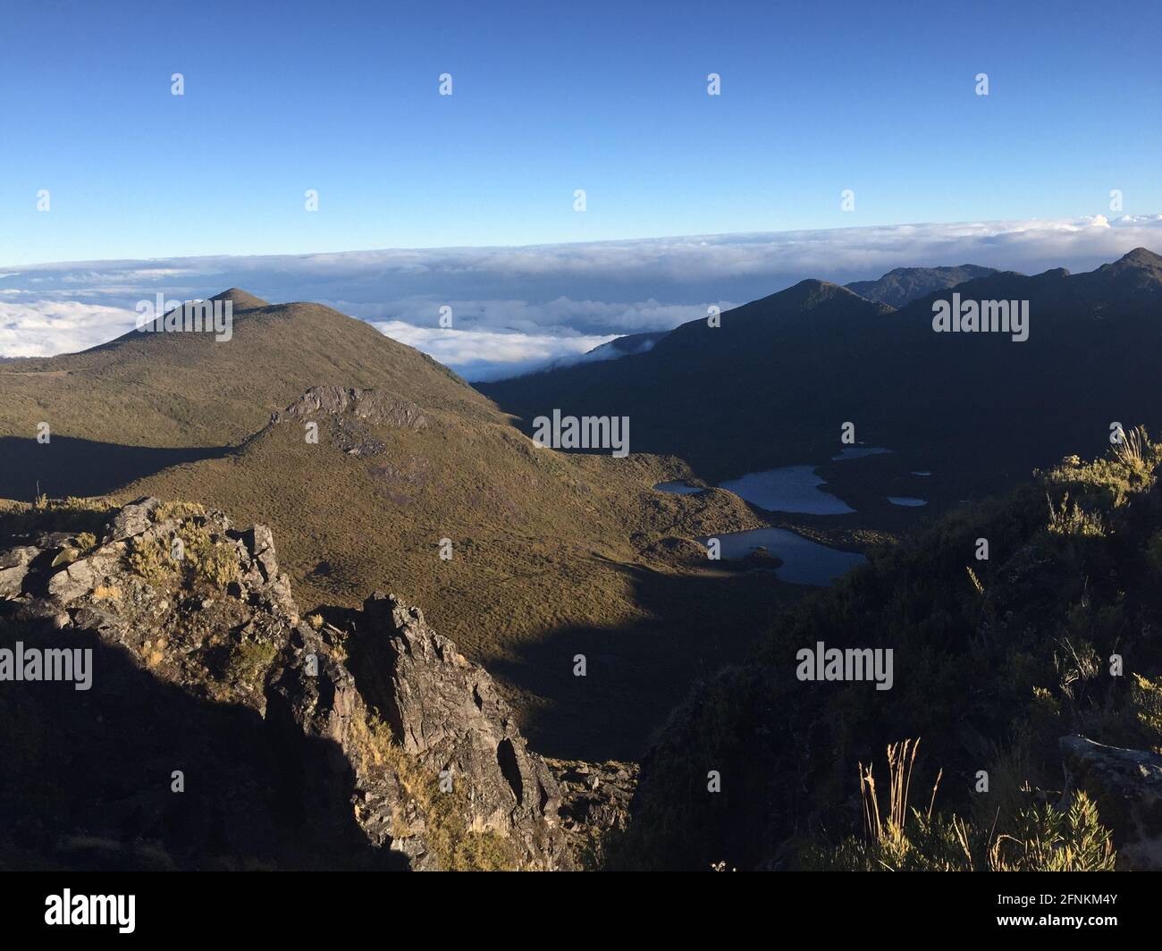 Chirripo national park hi-res stock photography and images - Alamy