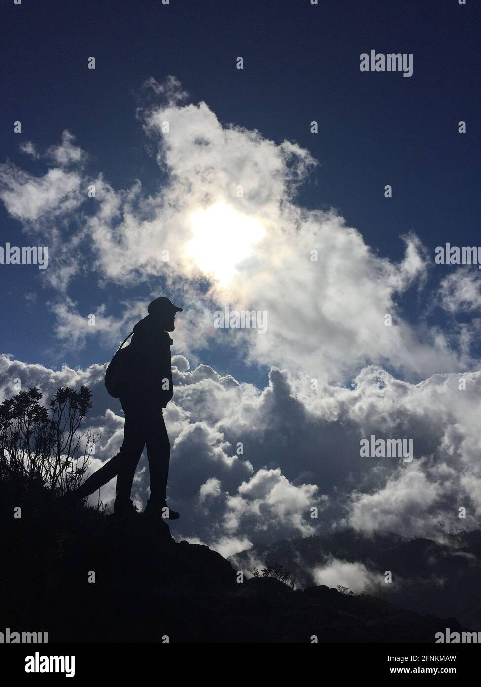 Chirripó National Park Costa Rica Stock Photo - Alamy