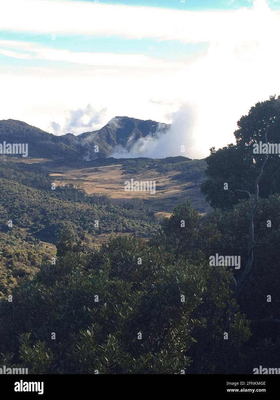 Chirripó National Park Costa Rica Stock Photo - Alamy