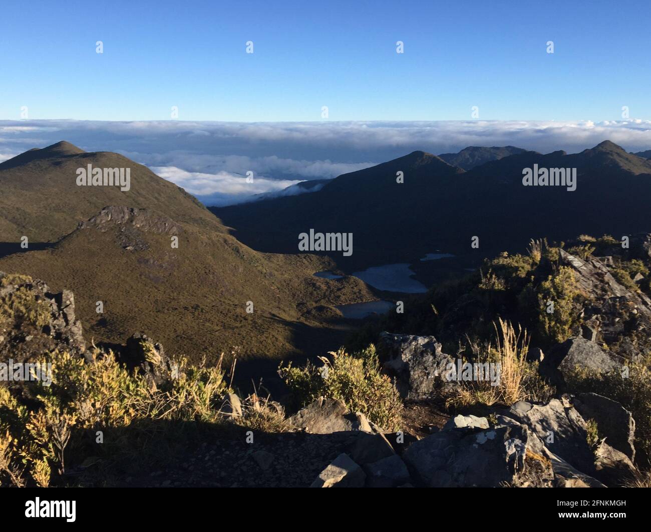 Chirripo national park hi-res stock photography and images - Alamy