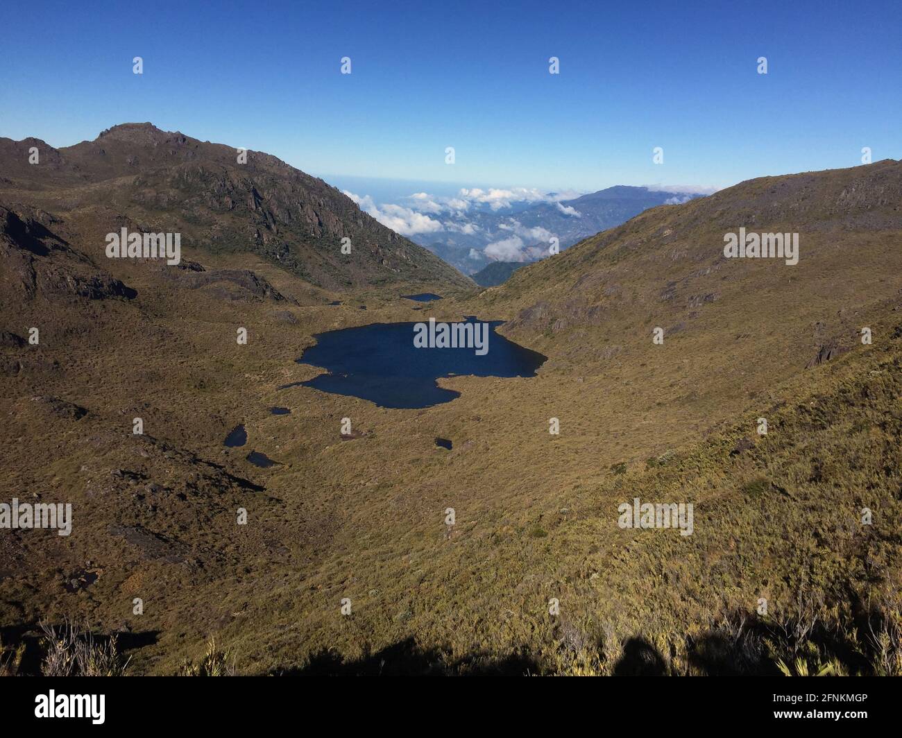 Chirripó National Park Costa Rica Stock Photo - Alamy