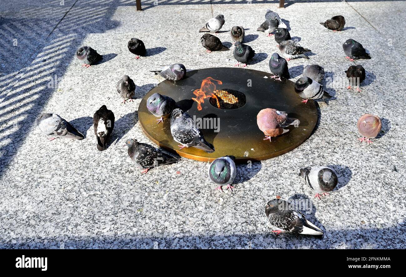 Chicago, Illinois, USA. The Eternal Flame at the Daley Center Plaza in ...