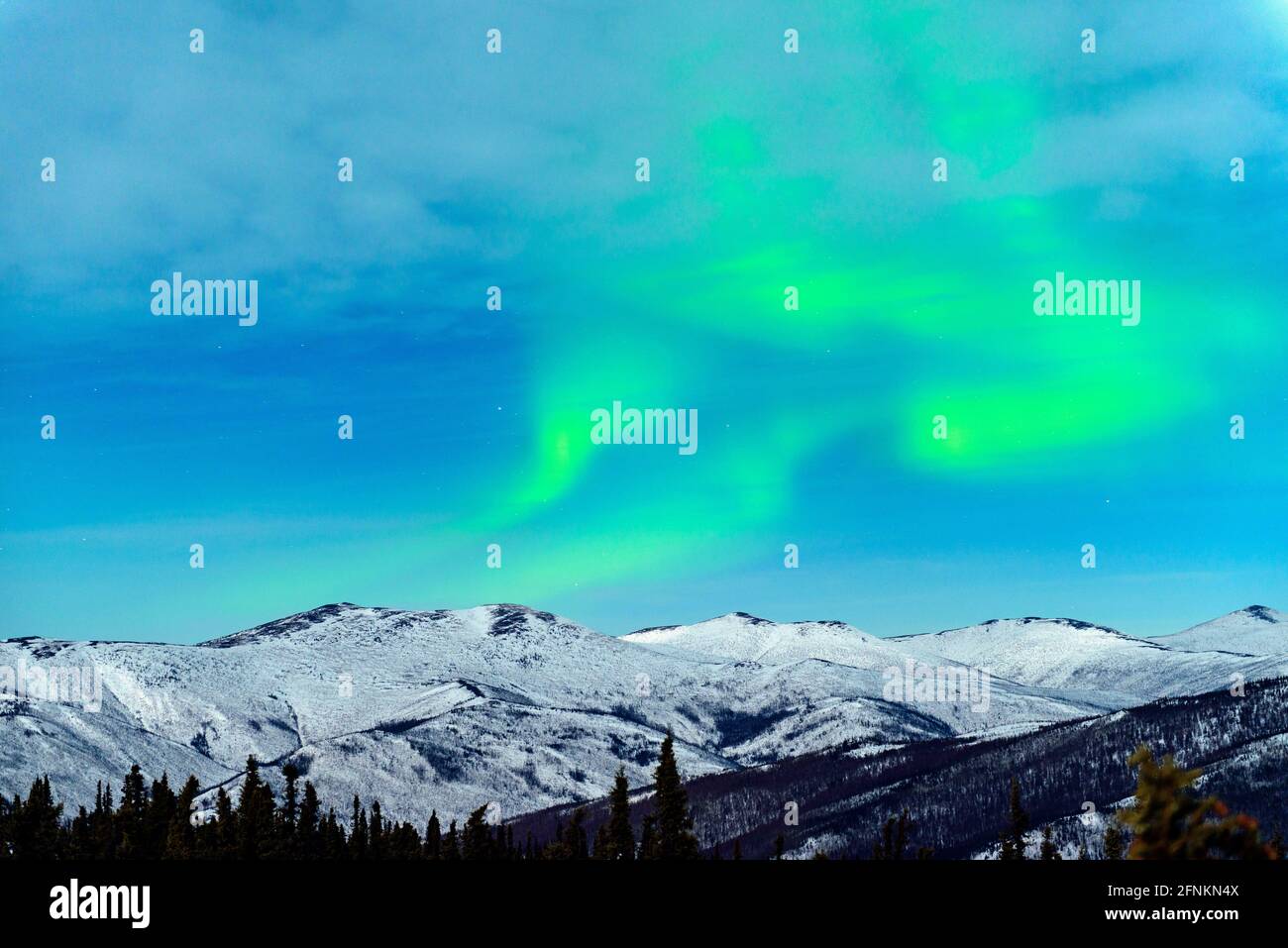 Aurora borealis under a full moon, Chena Hot Springs, Alaska Stock ...