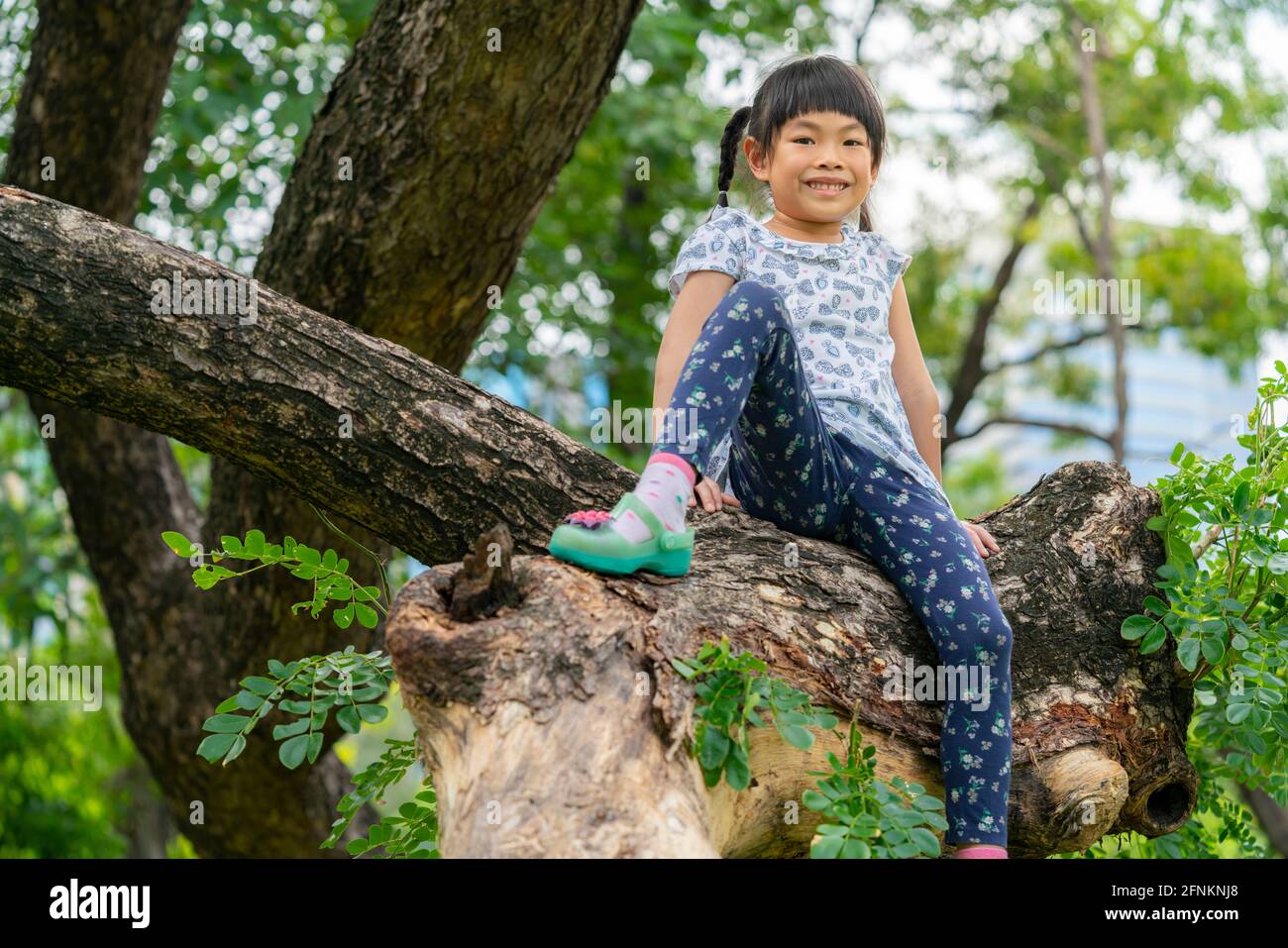 Asian child girl is sitting and smiling on a brunch of big tree in the ...