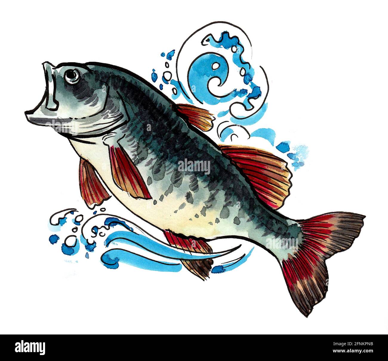 Fish in water. Ink and watercolor drawing Stock Photo - Alamy