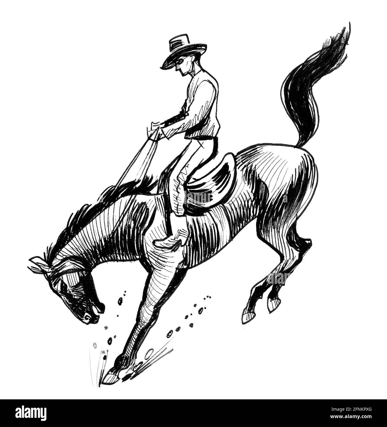 Rodeo Horse Drawings