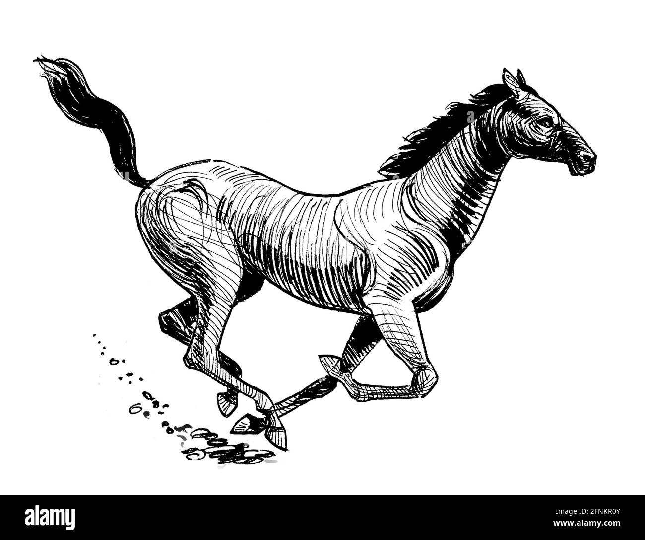 Running racing horse. Ink black and white drawing Stock Photo - Alamy