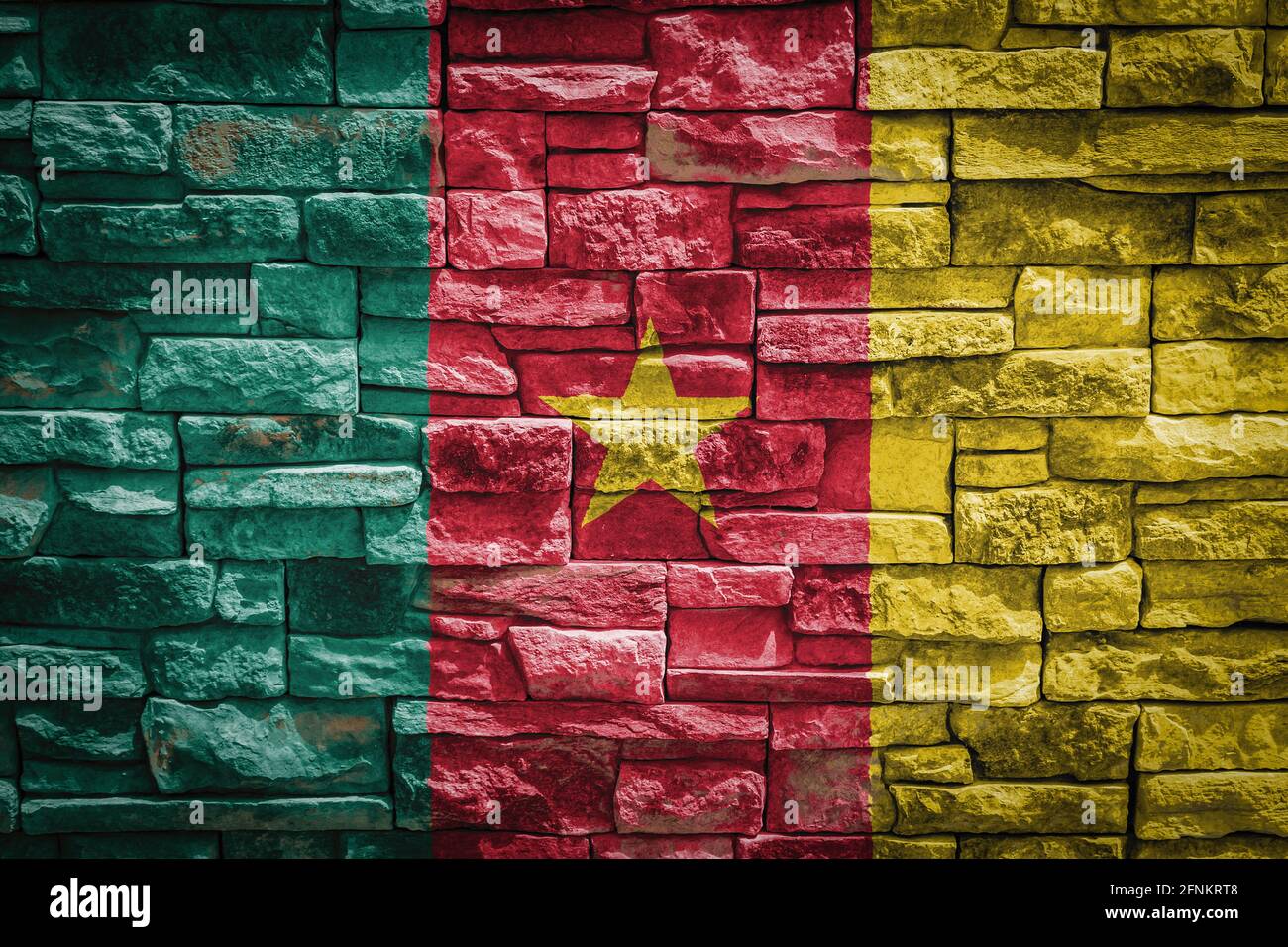 National flag of Cameroon on stone wall background.The concept of ...