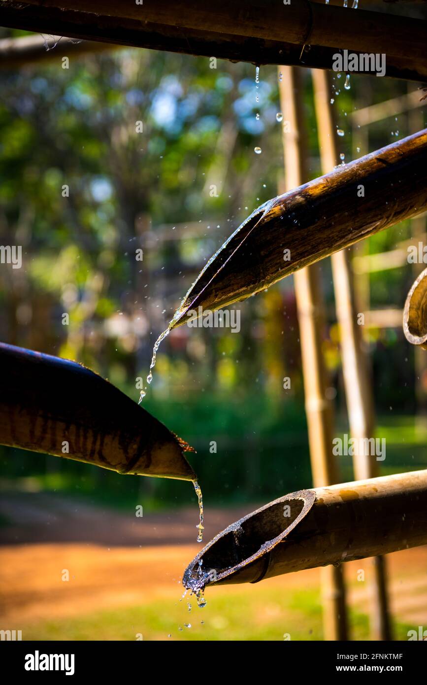 closeup bamboo fountain in the garden with splashing water Stock Photo ...