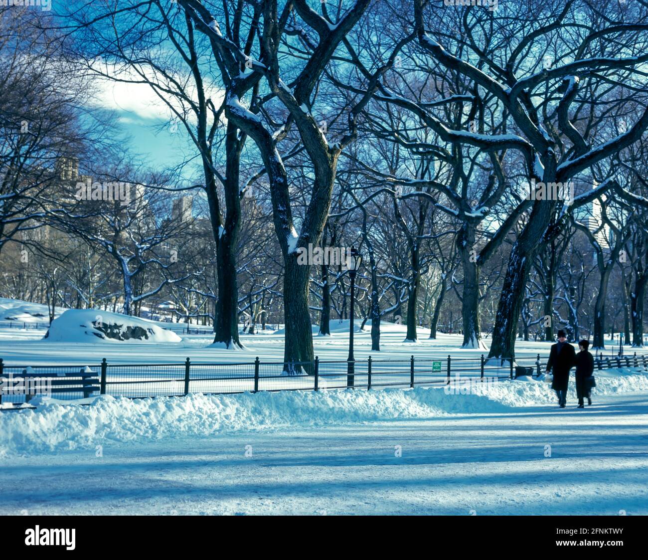 2005 HISTORICAL WINTER SNOW COVERED ELM WALK THE MALL CENTRAL PARK ...
