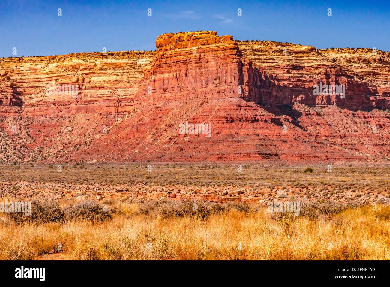 Colorful Valley of the Gods Red Orange Cliffs Desert Near Mexican Hat ...