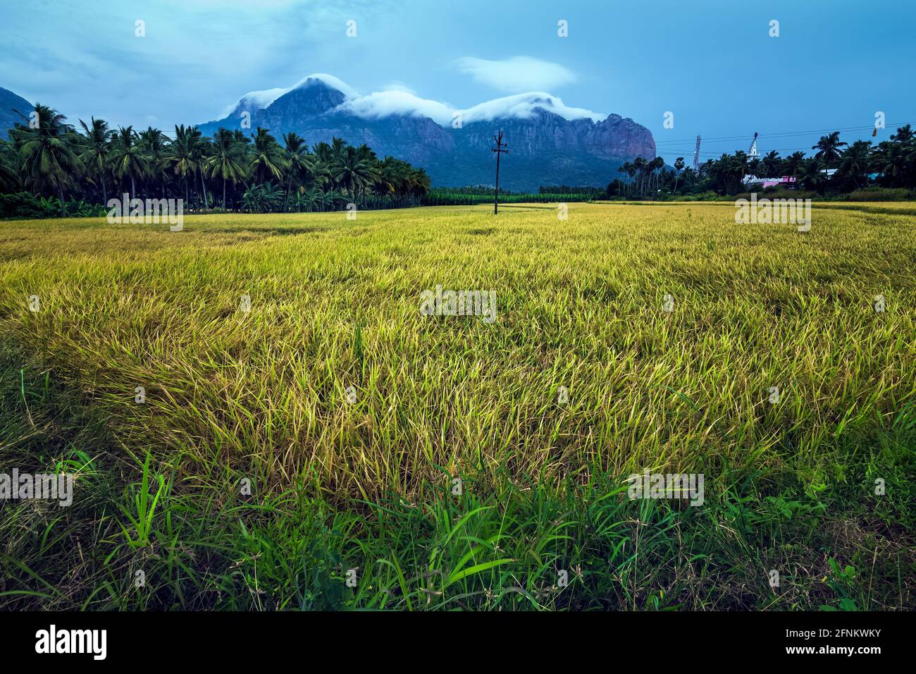 Wonderful monsoon climate with Misty white clouds mountain background ...