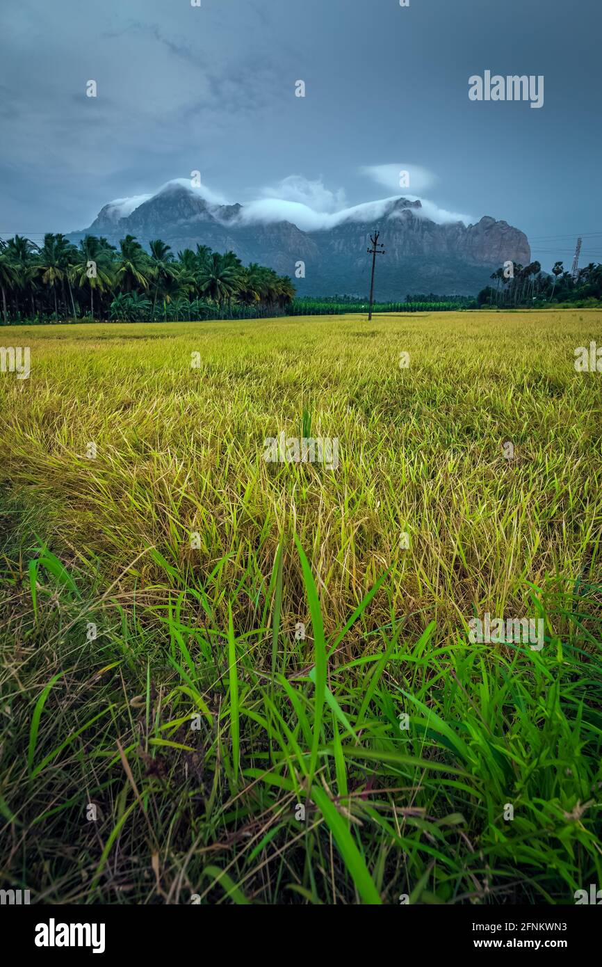 Wonderful monsoon climate with Misty white clouds mountain background ...