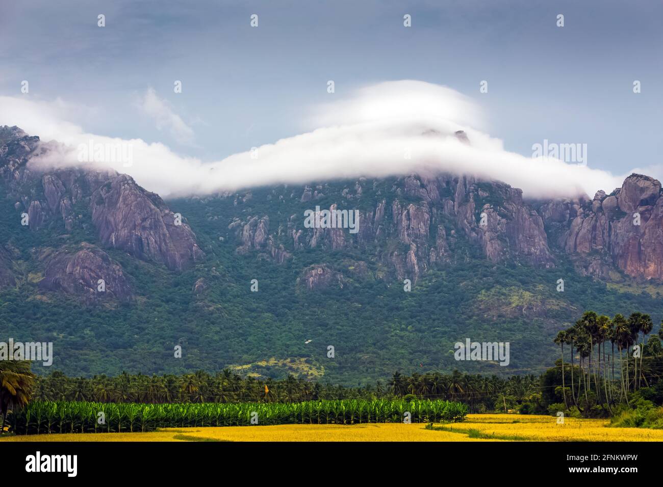 Wonderful monsoon climate with Misty white clouds mountain background ...
