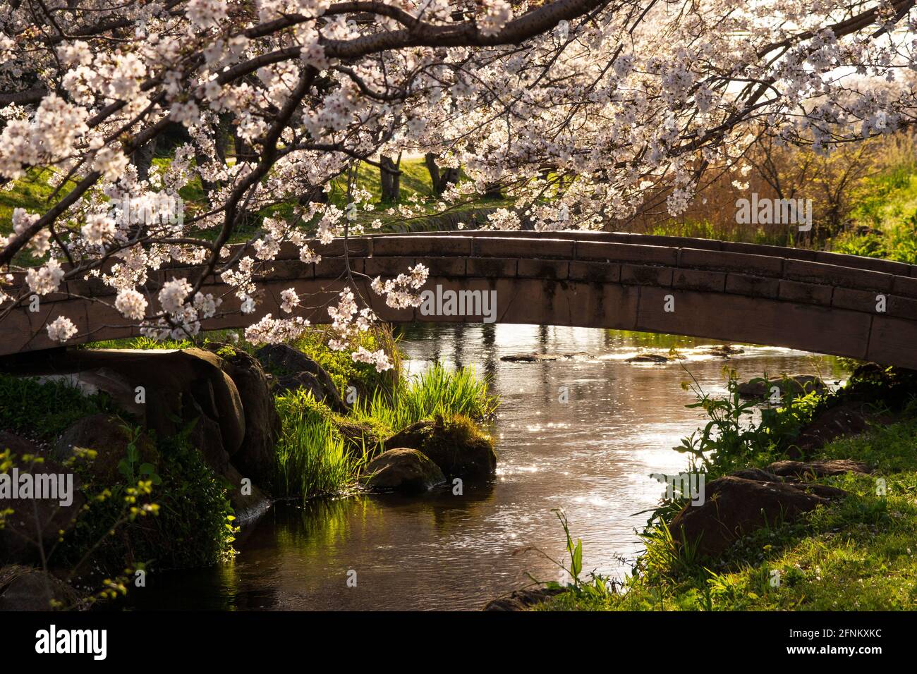 Akitsugawa riverside park hi-res stock photography and images - Alamy