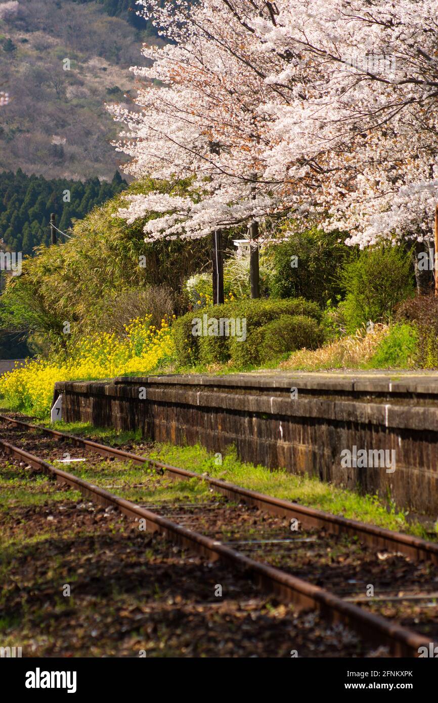 Choyo station hi-res stock photography and images - Alamy