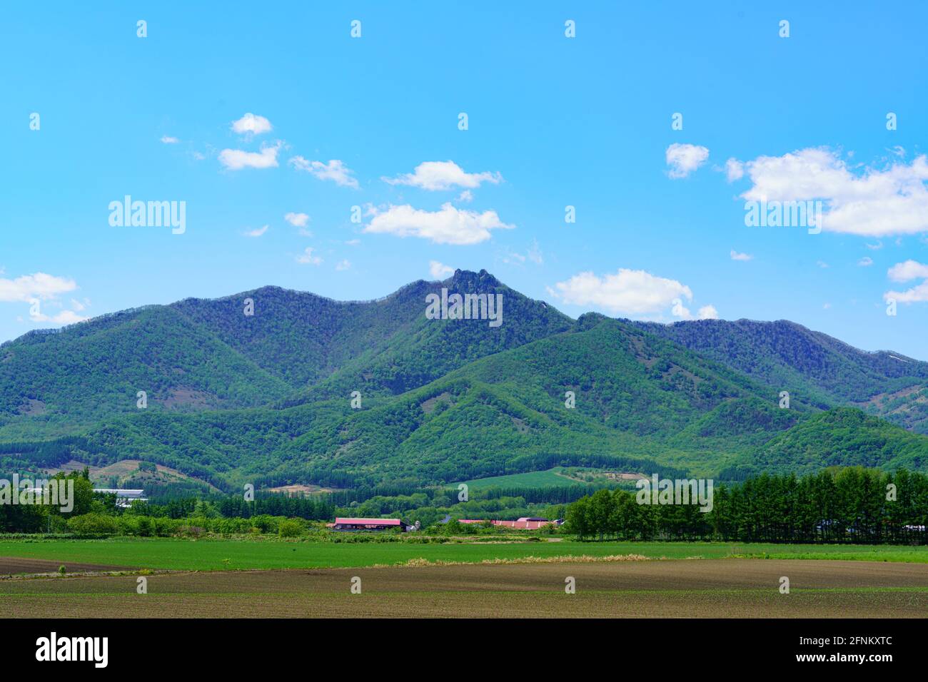 Tokachi plain hi-res stock photography and images - Alamy