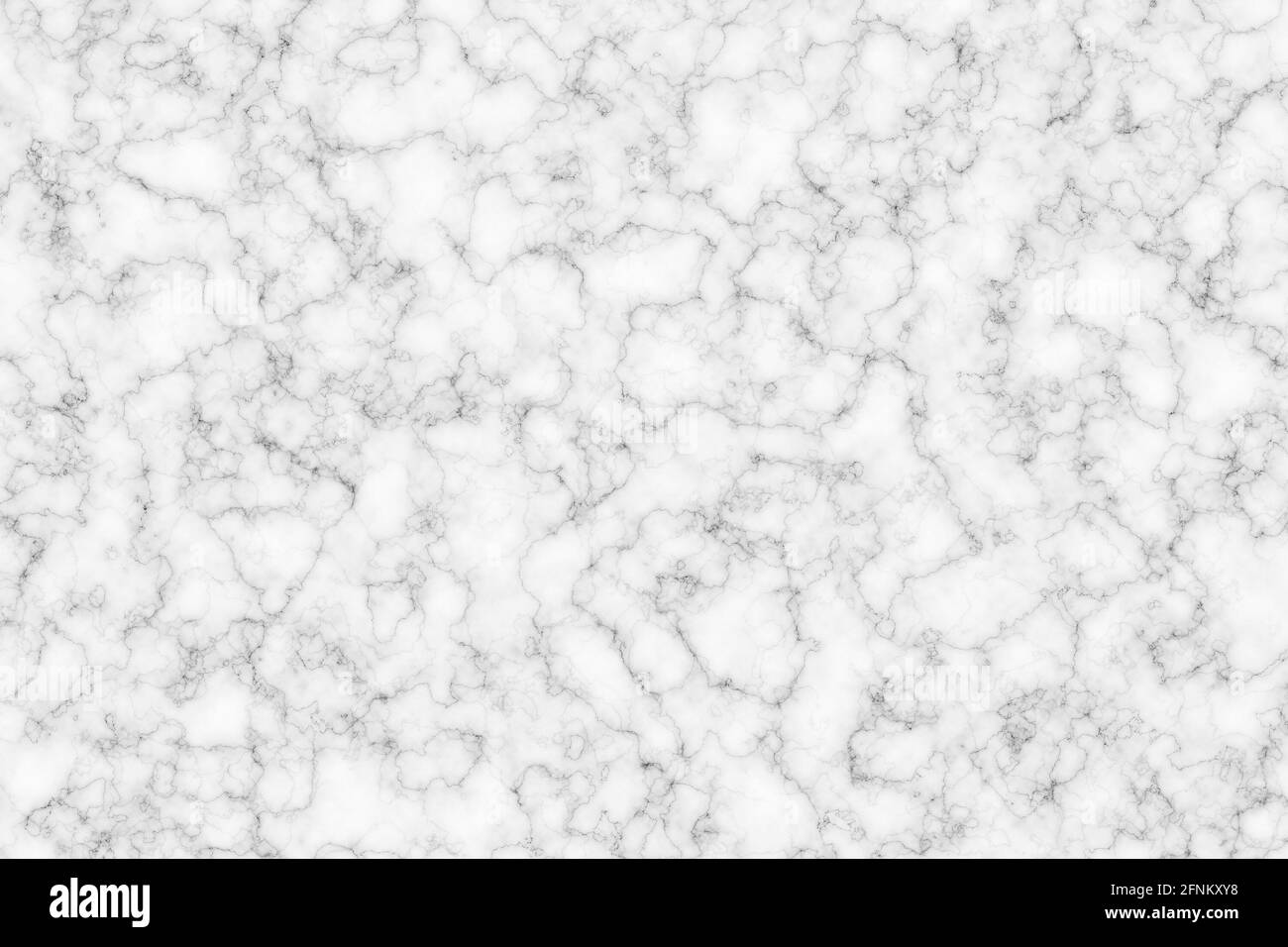 Marble dachshund hi-res stock photography and images - Alamy