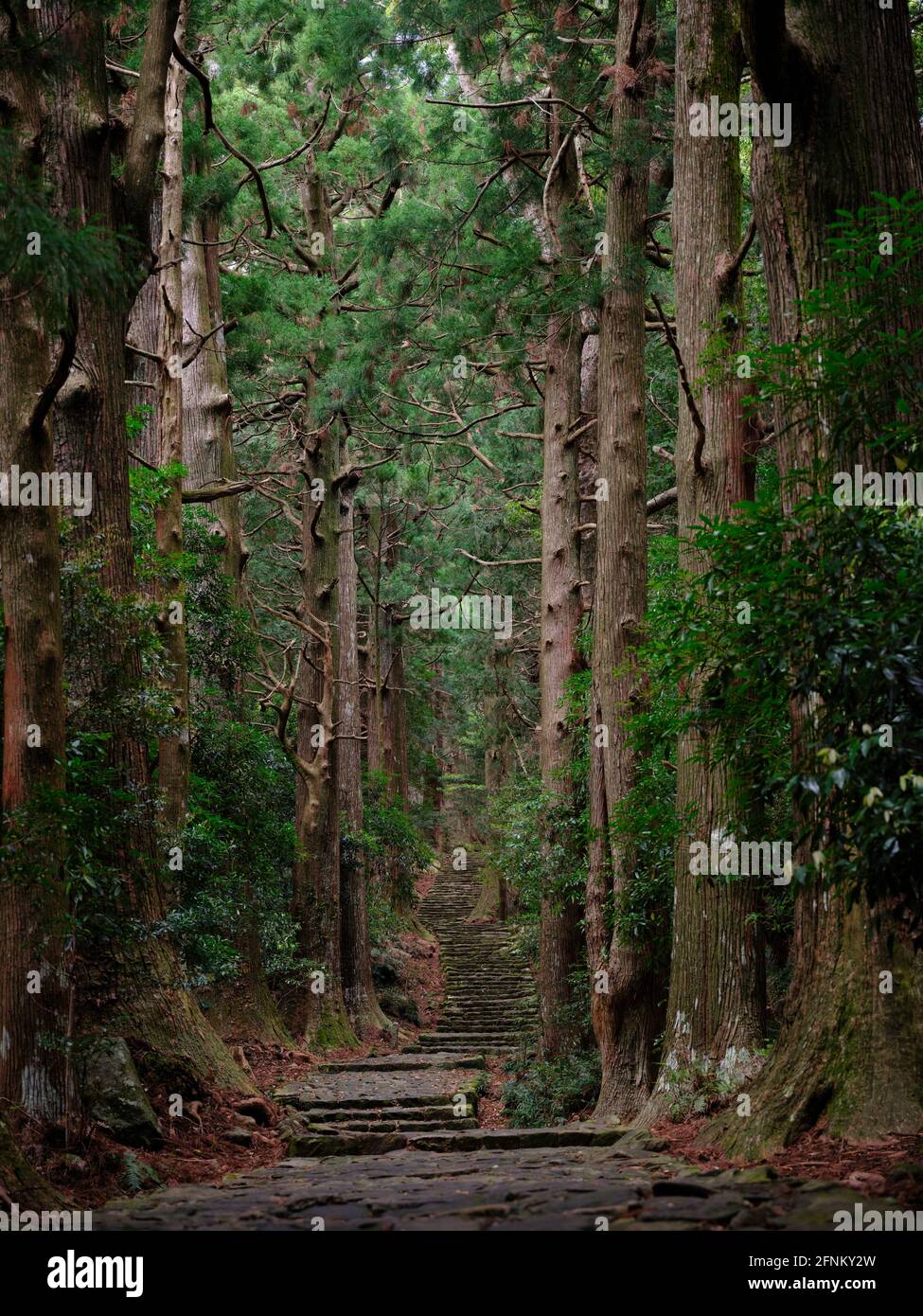 Kumano Old Road, Kinki Region, Japan Stock Photo - Alamy