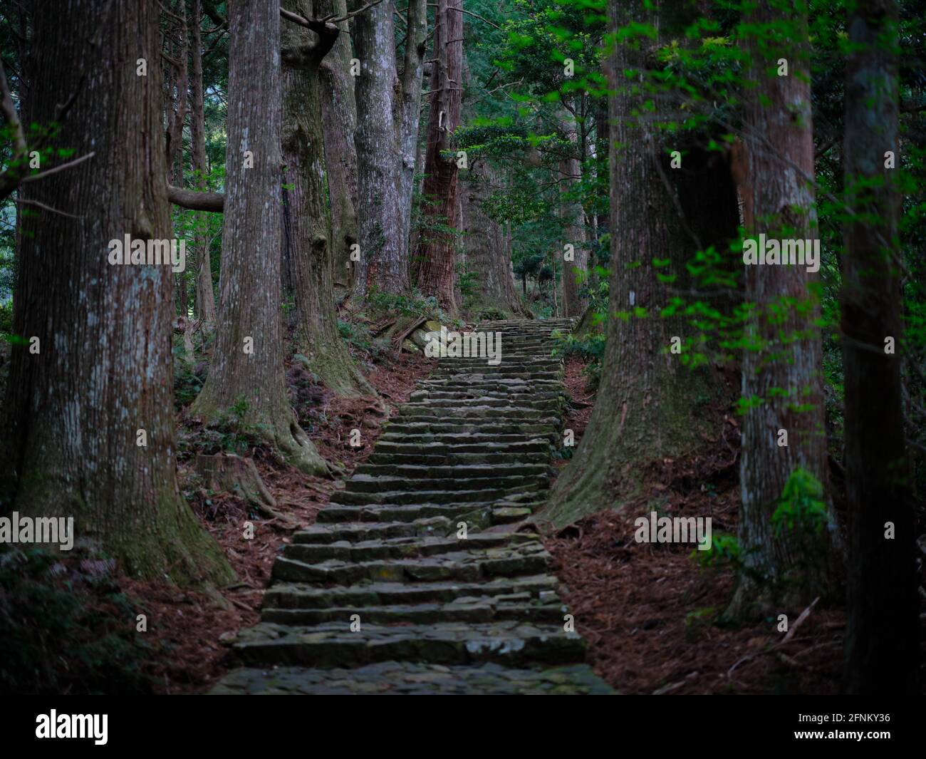Kumano road hi-res stock photography and images - Alamy