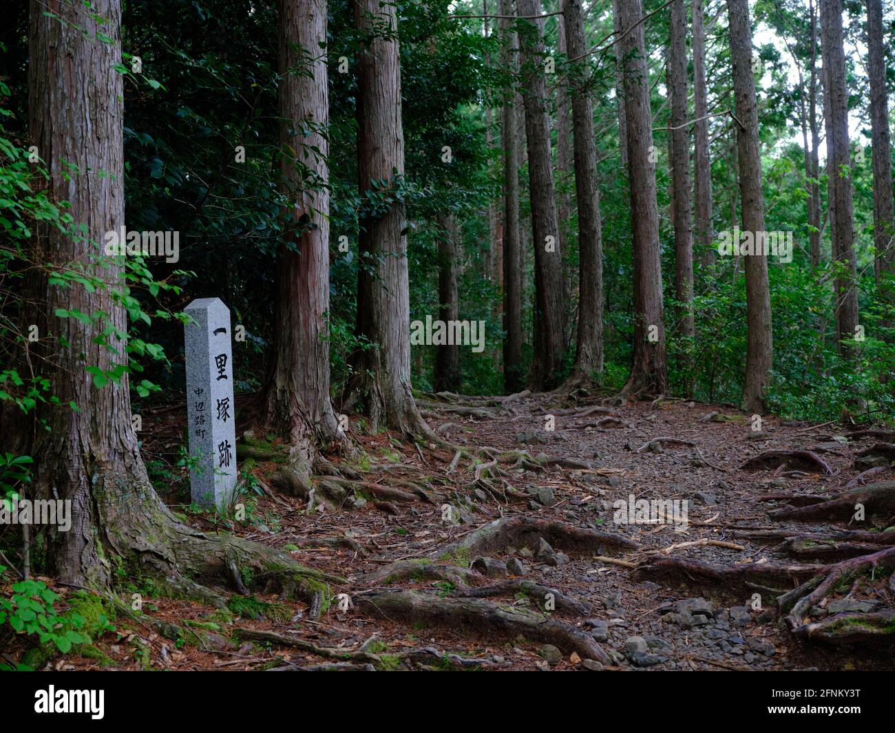 Kumano Old Road, Kinki Region, Japan Stock Photo - Alamy