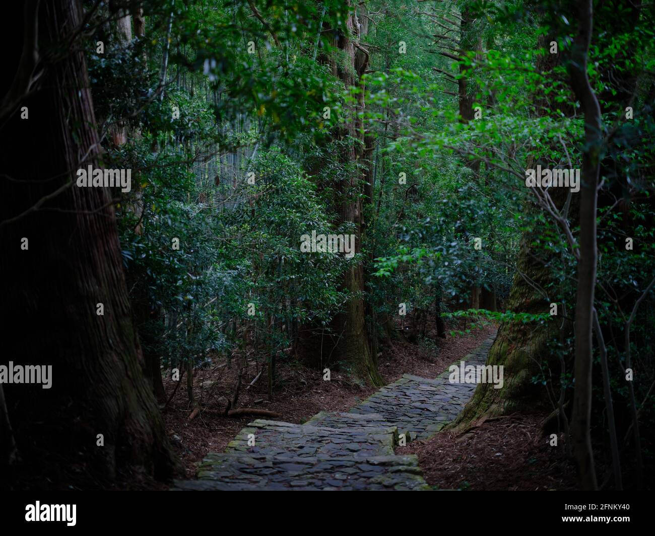 Kumano road hi-res stock photography and images - Alamy
