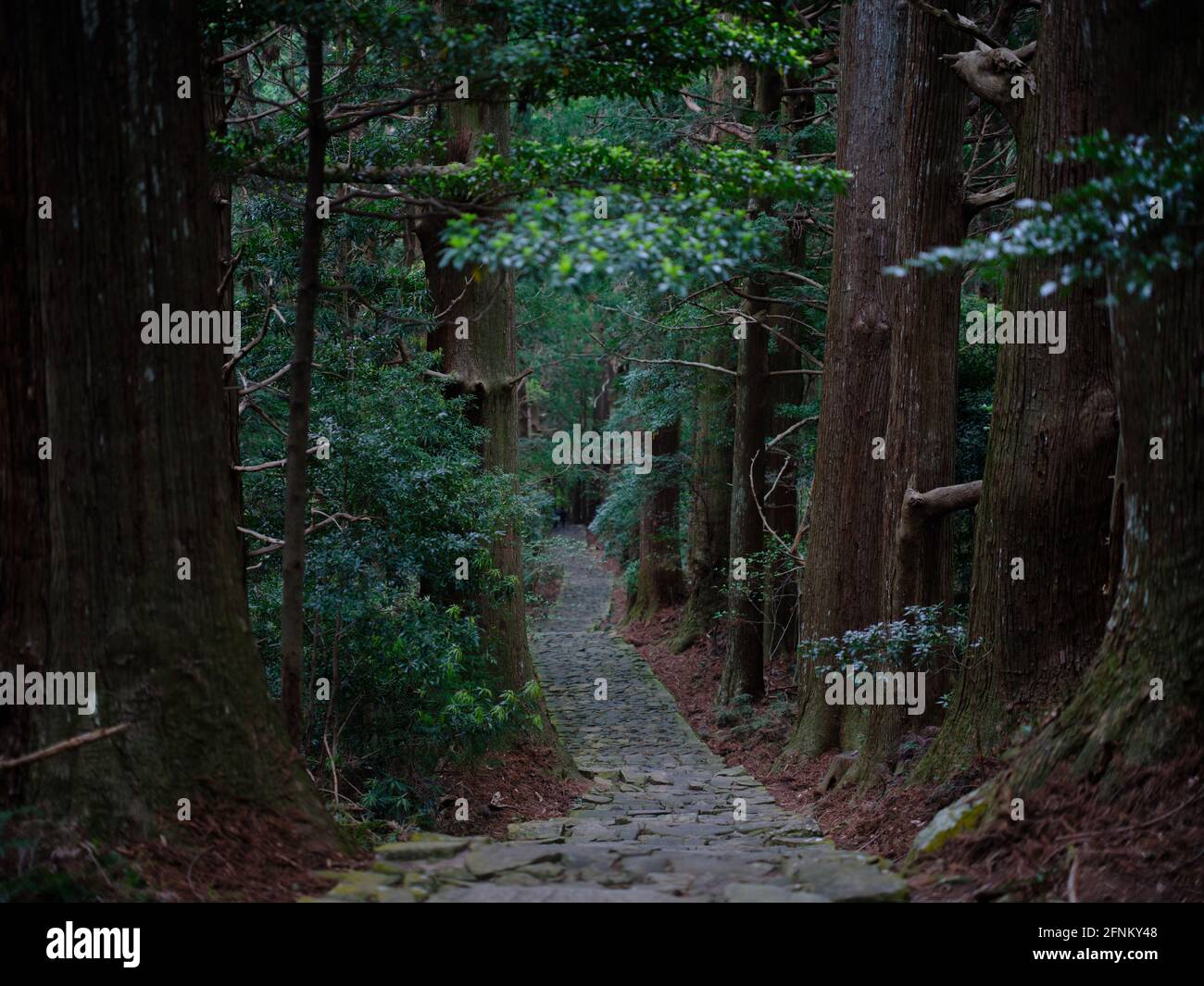 Kumano Old Road, Kinki Region, Japan Stock Photo - Alamy