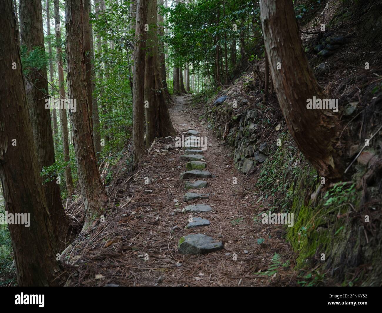 Kumano Old Road, Kinki Region, Japan Stock Photo - Alamy