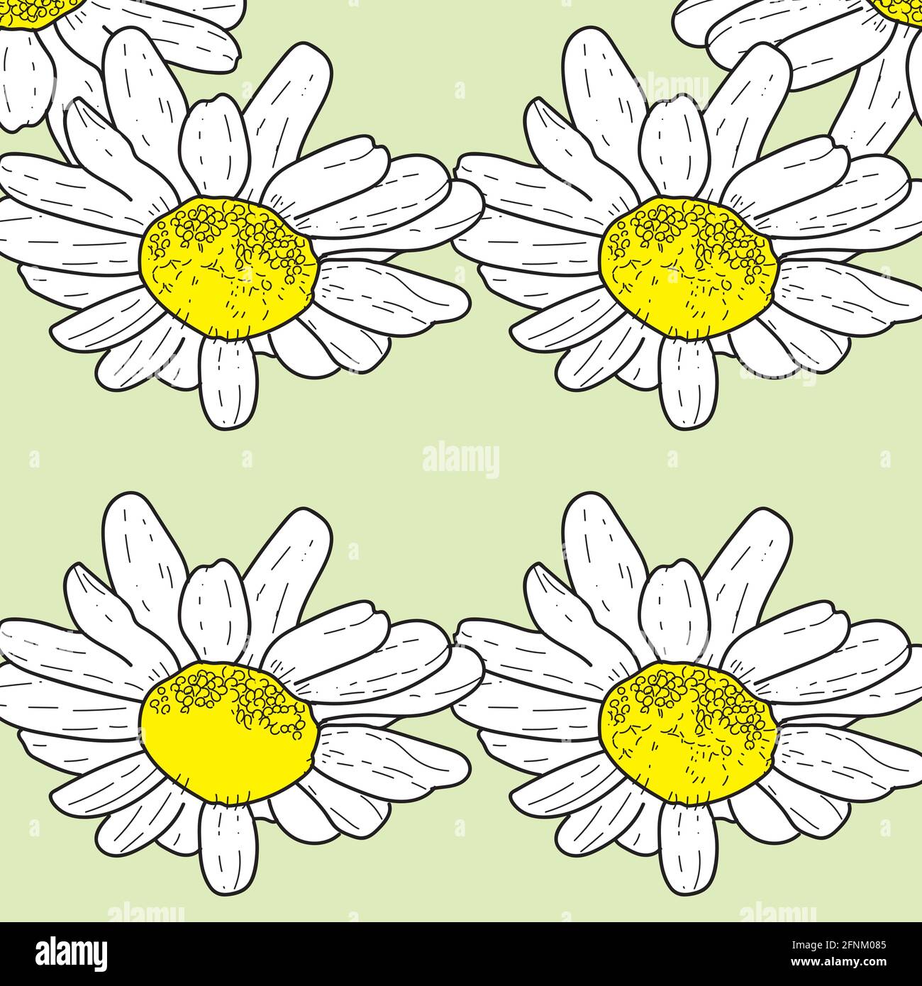 Vector green background daisy flowers and wild flowers. Seamless ...