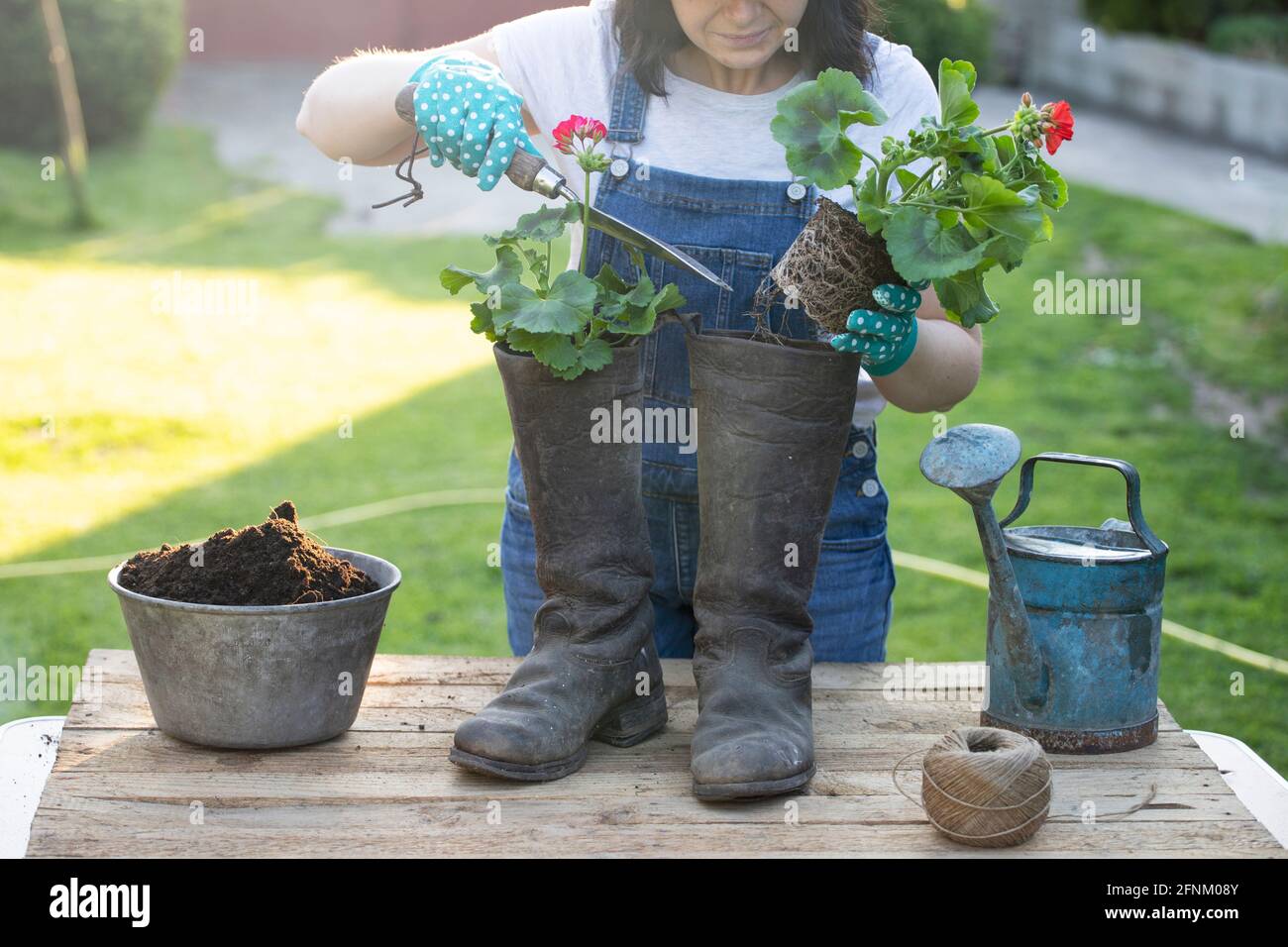 Woman gardener transplanting flowers in pot. Concept of home garden ...