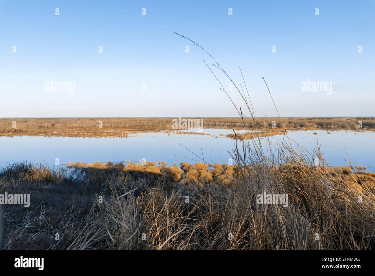 beautiful landscape with a view of the river from above dry grass ...