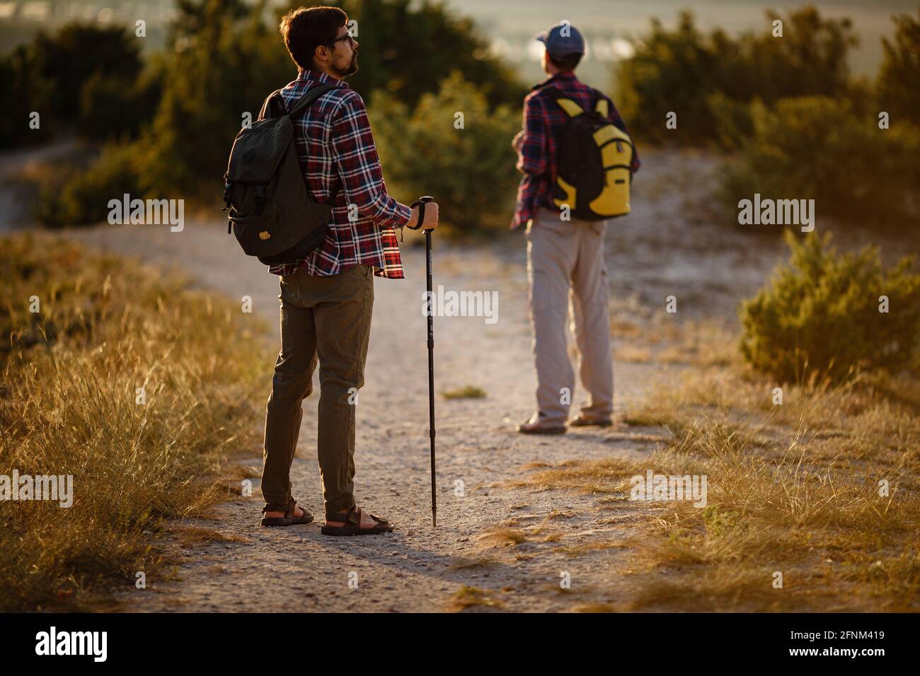 two men hikers enjoy a walk in nature, sunset time in summer. enjoying ...