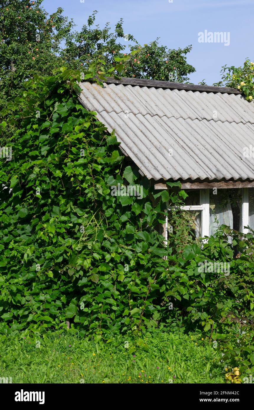 Simple guest house for a holiday in the countryside surrounded by a ...