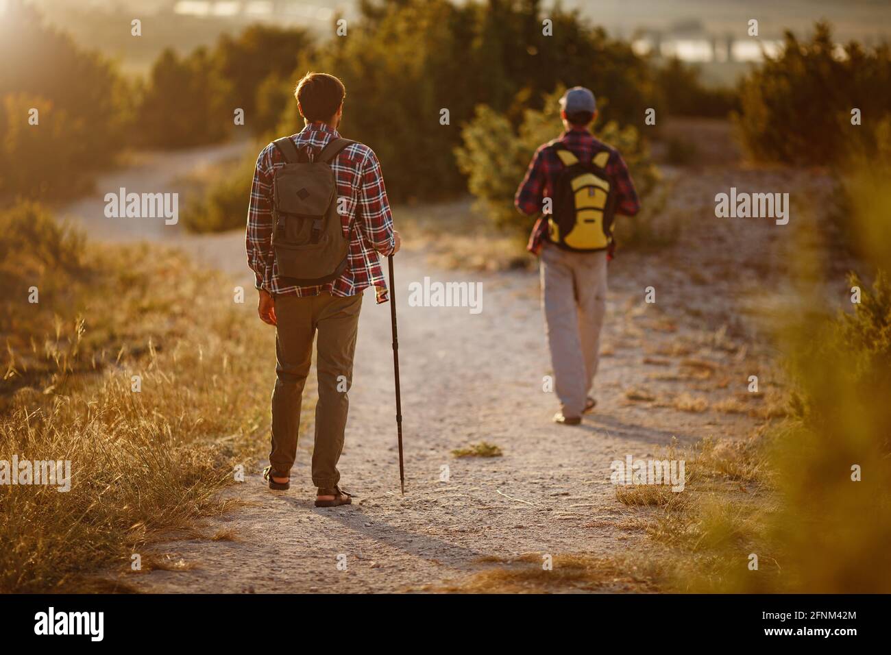 two men hikers enjoy a walk in nature, sunset time in summer. enjoying ...