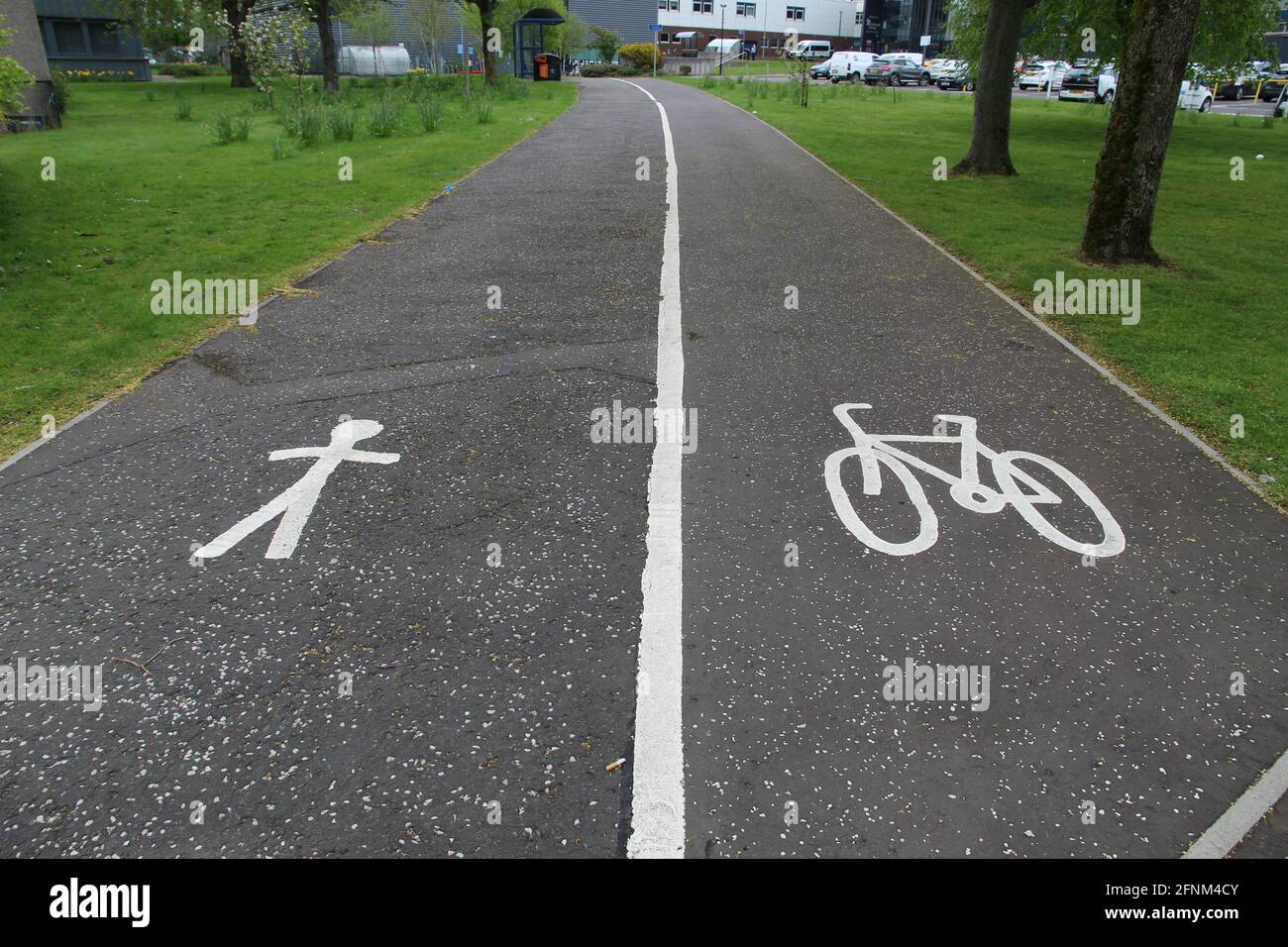 White Road Paint Showing a Pedestrian and a Cycle Lane on an Asphalt ...