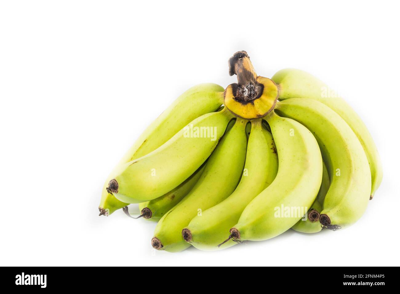 Branch green banana Cut Out Stock Images & Pictures - Alamy