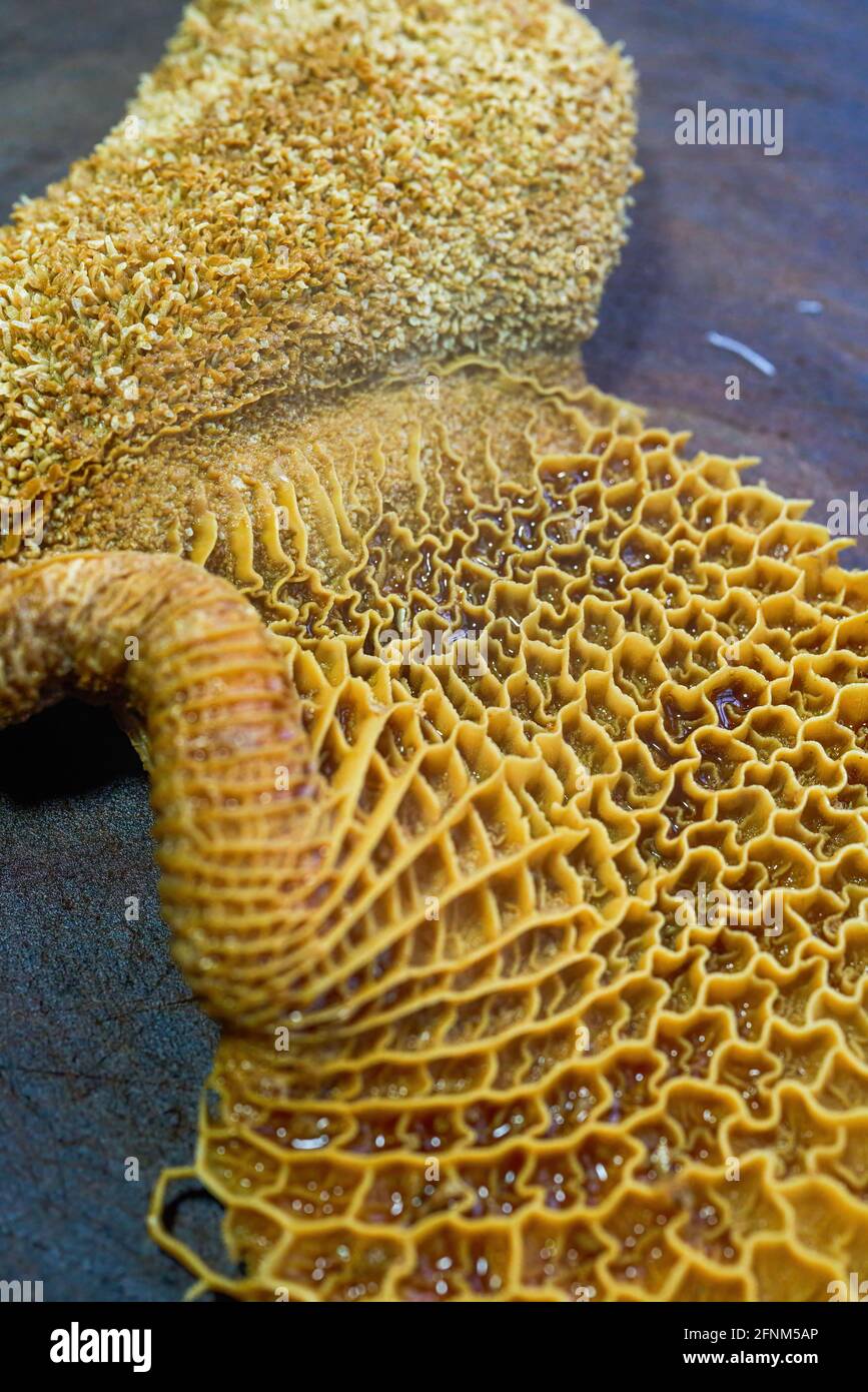 A delicious Chinese dish, braised beef tripe, lo-mei Stock Photo - Alamy