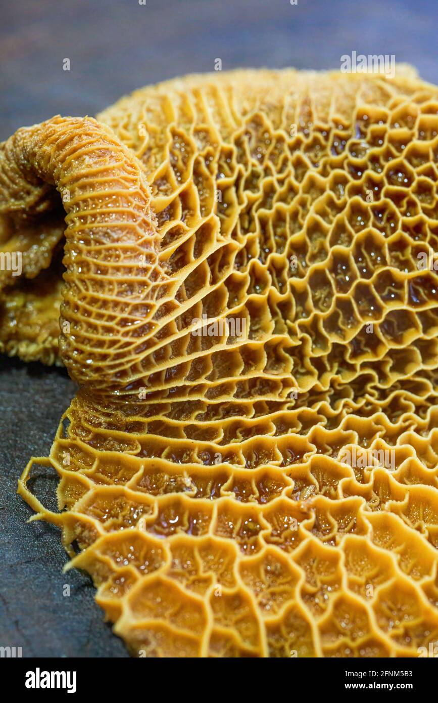 A delicious Chinese dish, braised beef tripe, lo-mei Stock Photo - Alamy