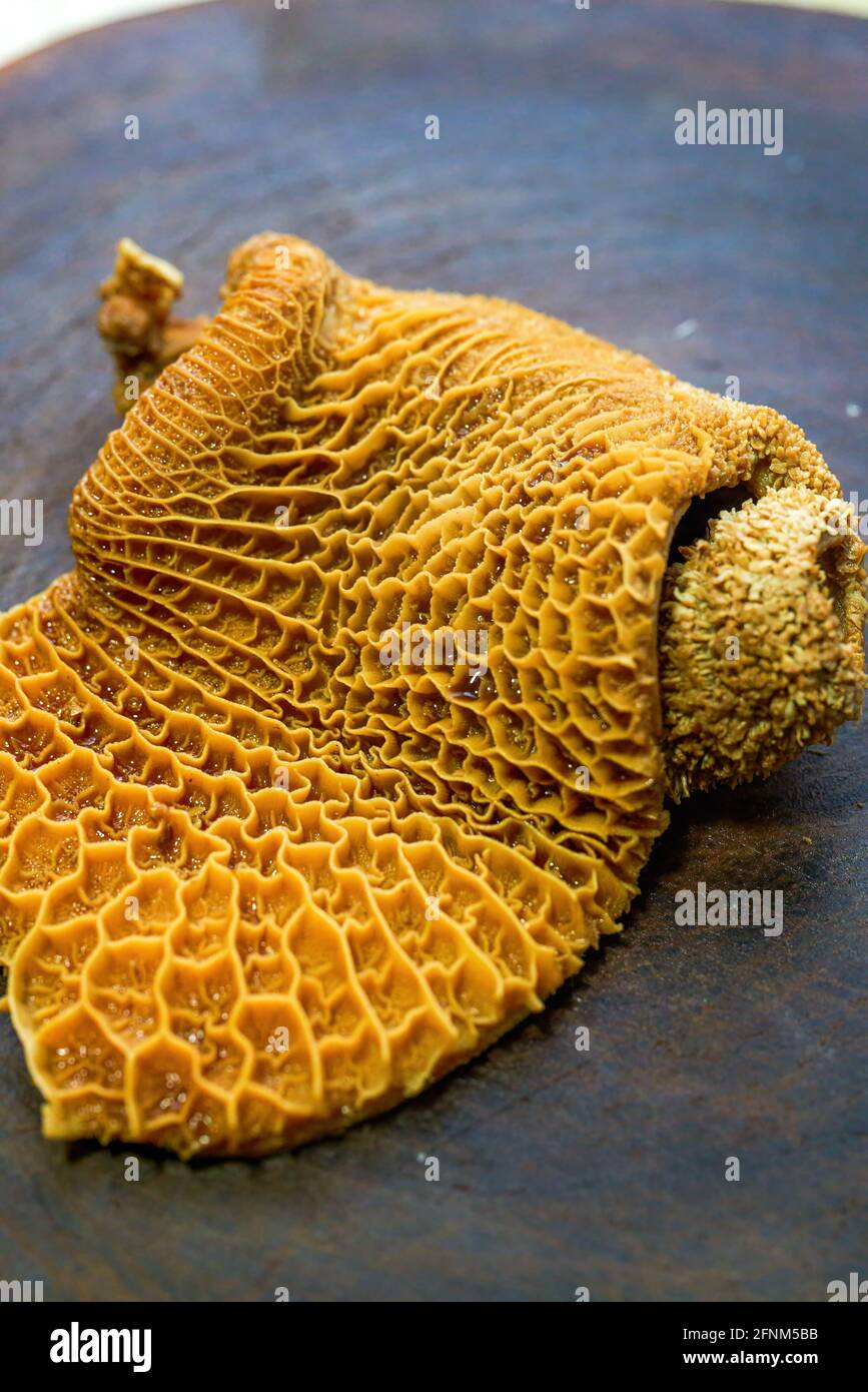 A delicious Chinese dish, braised beef tripe, lo-mei Stock Photo - Alamy