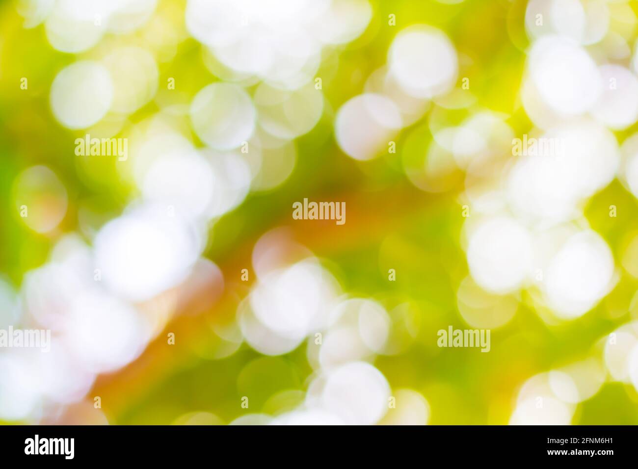 Defocus green hi-res stock photography and images - Alamy