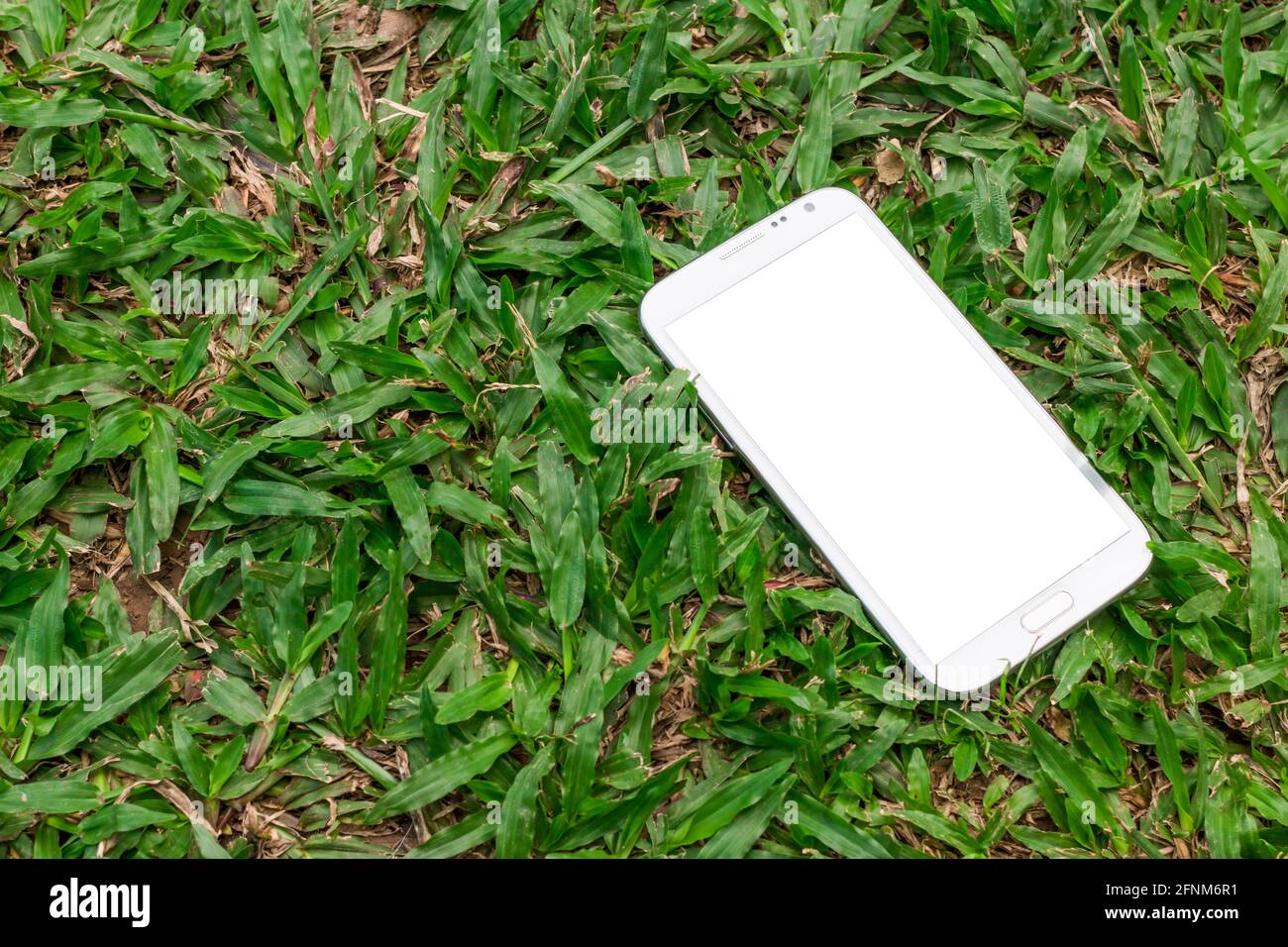 White smart phone with blank screen on green grass background Stock ...