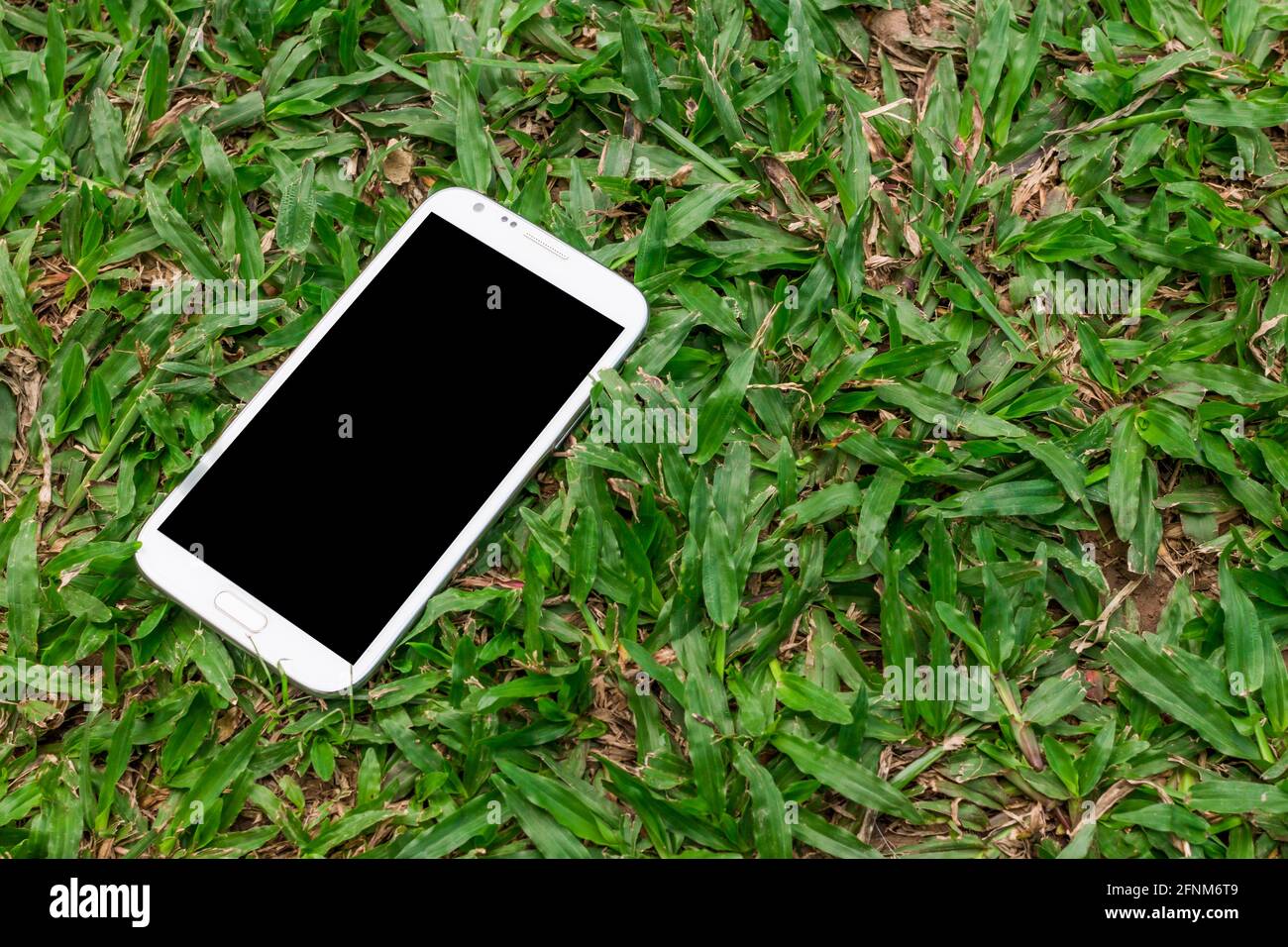 White smart phone with blank screen on green grass background Stock ...