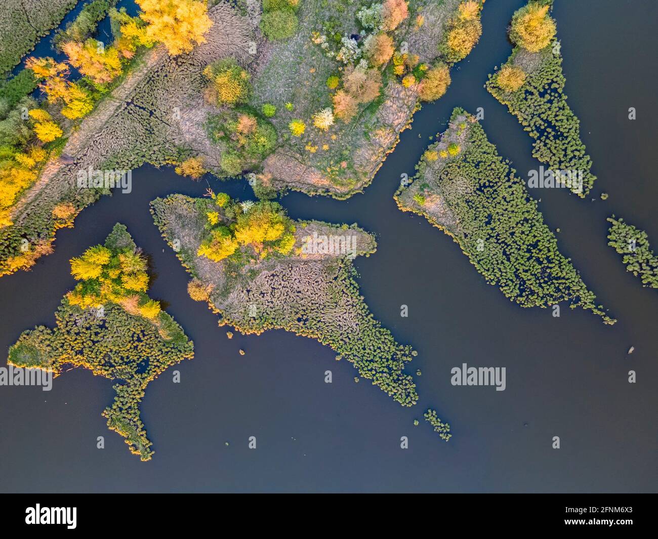 Small grassy islands in the pond looking like continents. Creative ...