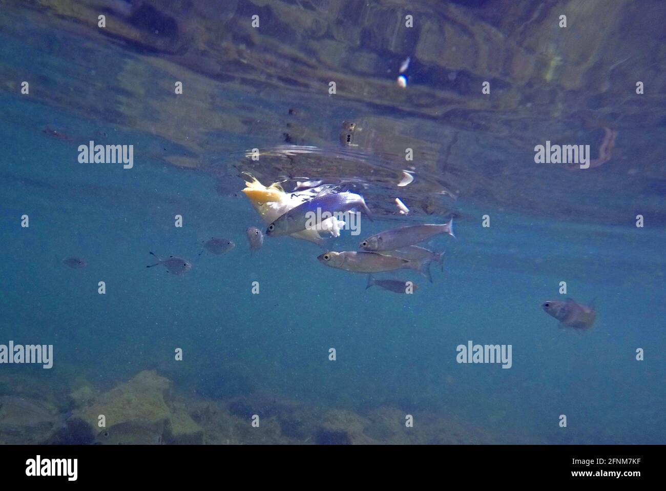 Subsea hi-res stock photography and images - Alamy