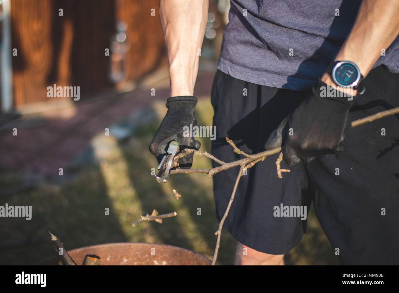 Hardworking man in work clothes uses loppers to split wood into smaller ...