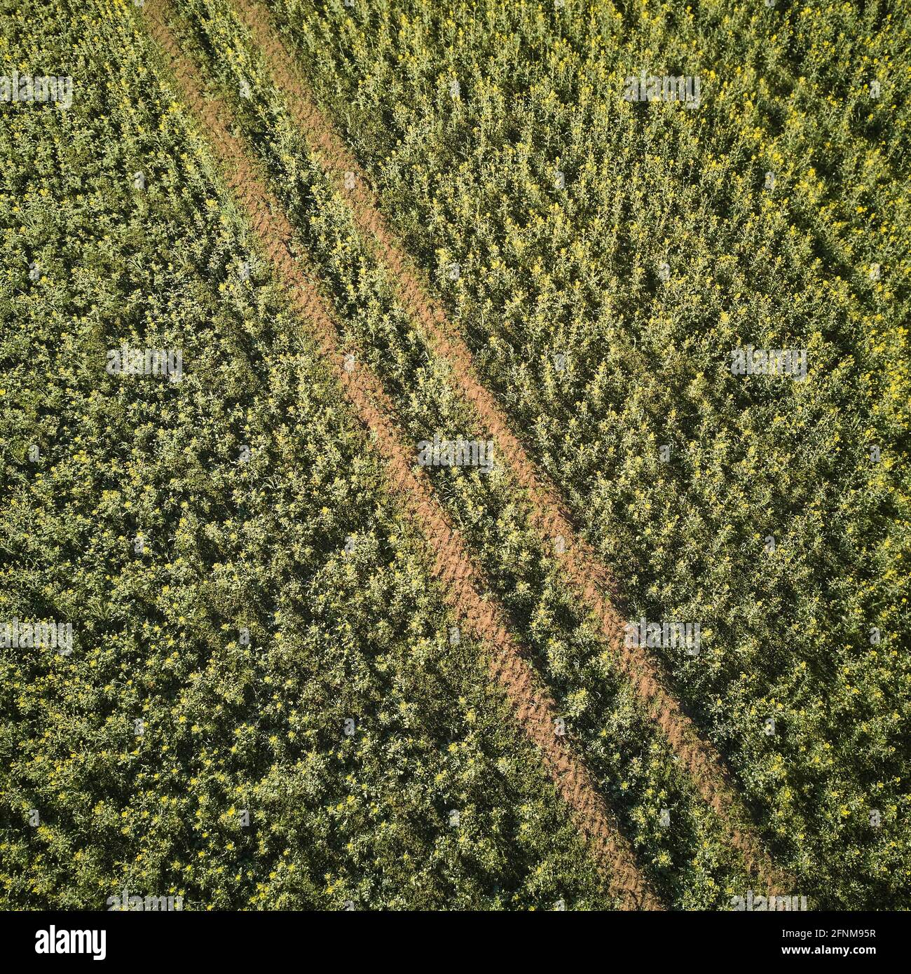 Top view tractor hi-res stock photography and images - Alamy